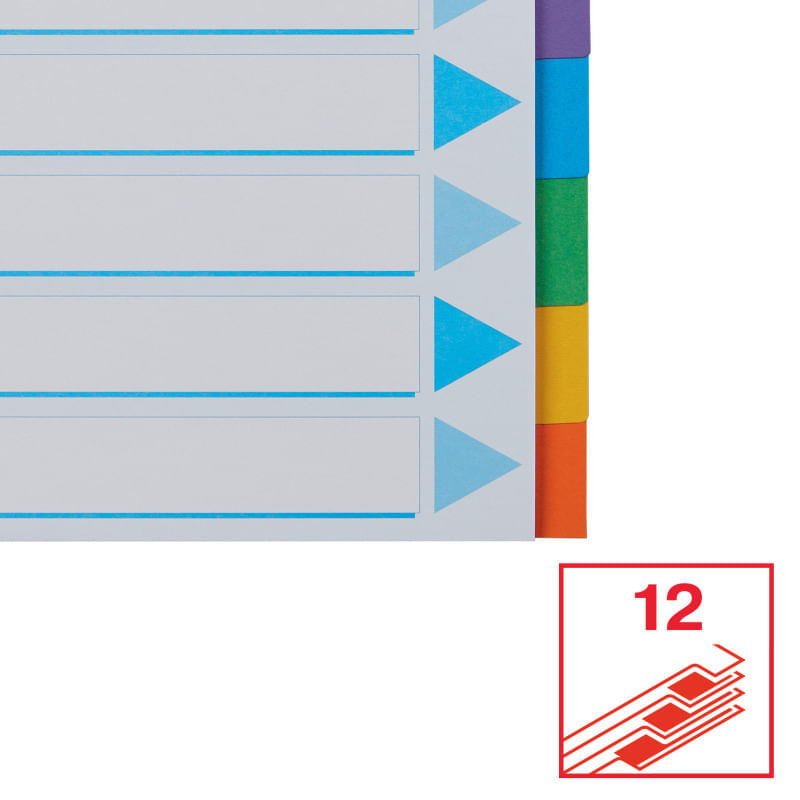 Cumpără Separatoare Esselte, carton reciclat si reciclabil, A4, 12 ...