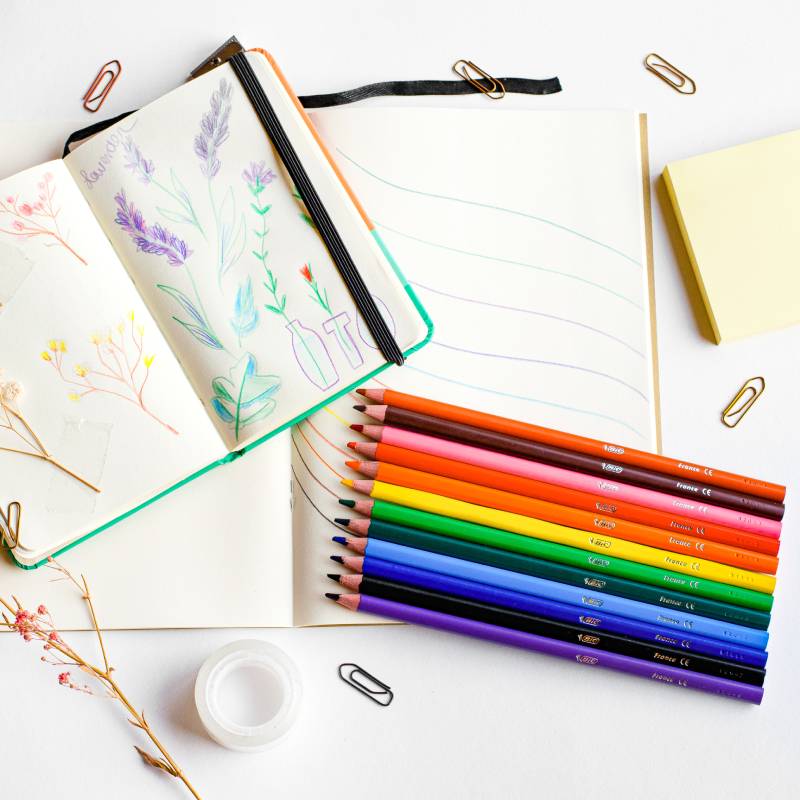 Creioane colorate Intensity 3.2 mm 24 buc BIC - Dacris.net